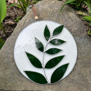 nature – Root Studio